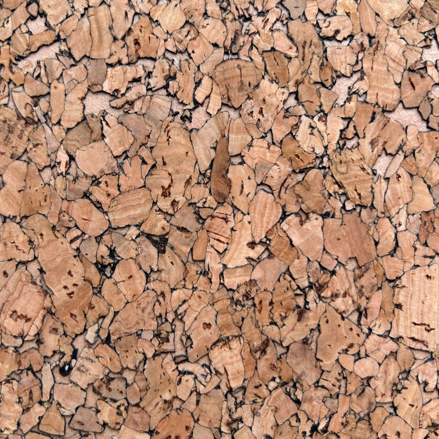 Real cork wallpaper by the metre - The Monkey Puzzle Tree